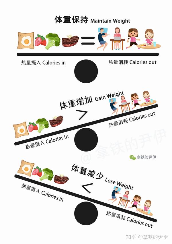 瘦肚子瘦腿瘦哪儿都要达成的首要目标:打造热量缺口 知乎