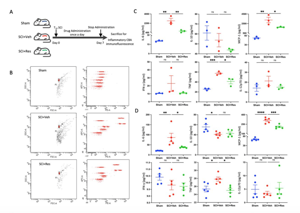 项目文章 | Pharmacol. Res.期刊发表基于16S微生物多样性揭示白藜芦醇在脊髓损伤后促进神经功能恢复的作用机制 - 知乎