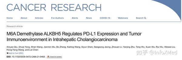 Cancer Research | m6A去甲基化酶ALKBH5调控肝内胆管癌PD-L1表达及免疫逃逸新机制 - 知乎