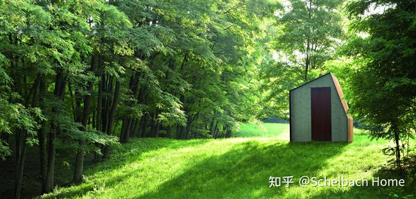 Shelbach-Home - 知乎