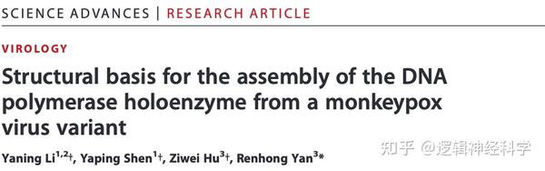 Sci Adv︱南方科技大学鄢仁鸿团队揭示猴痘病毒变异株DNA聚合酶全酶结构组装及其工作的分子机制 - 知乎