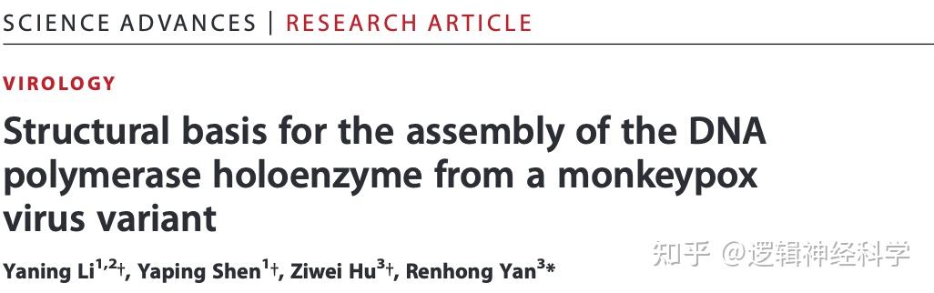 Sci Adv︱南方科技大学鄢仁鸿团队揭示猴痘病毒变异株DNA聚合酶全酶结构组装及其工作的分子机制 - 知乎