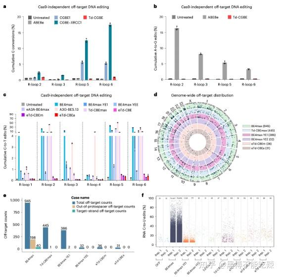 基于TadA-8e的CBE工具开发 - 知乎