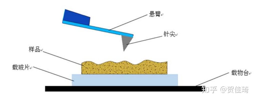 原子力显微镜（AFM） - 知乎