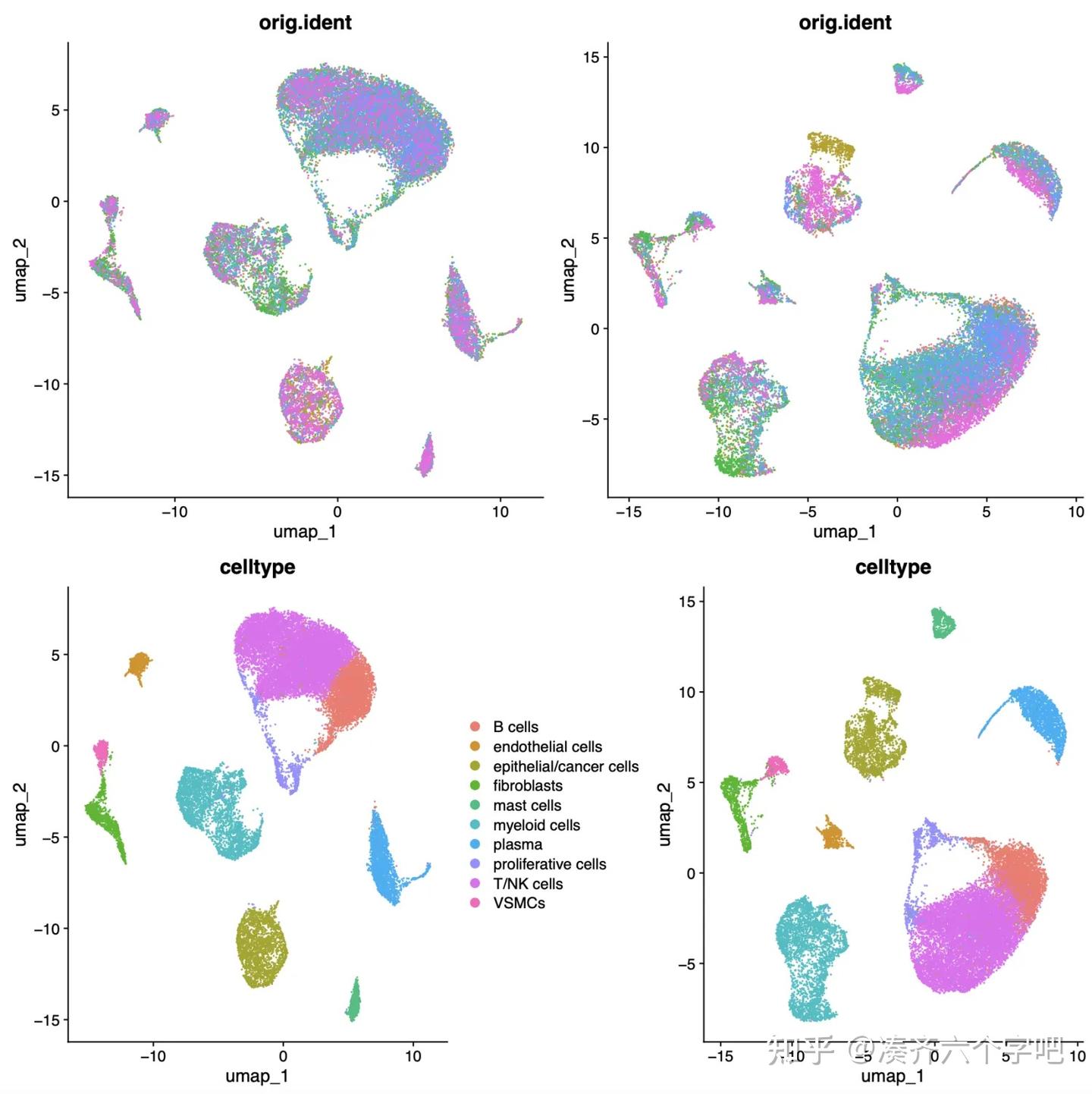 单细胞实战之样本整理，细胞注释和部分图表绘制---从入门到进阶(初级篇1） - 知乎