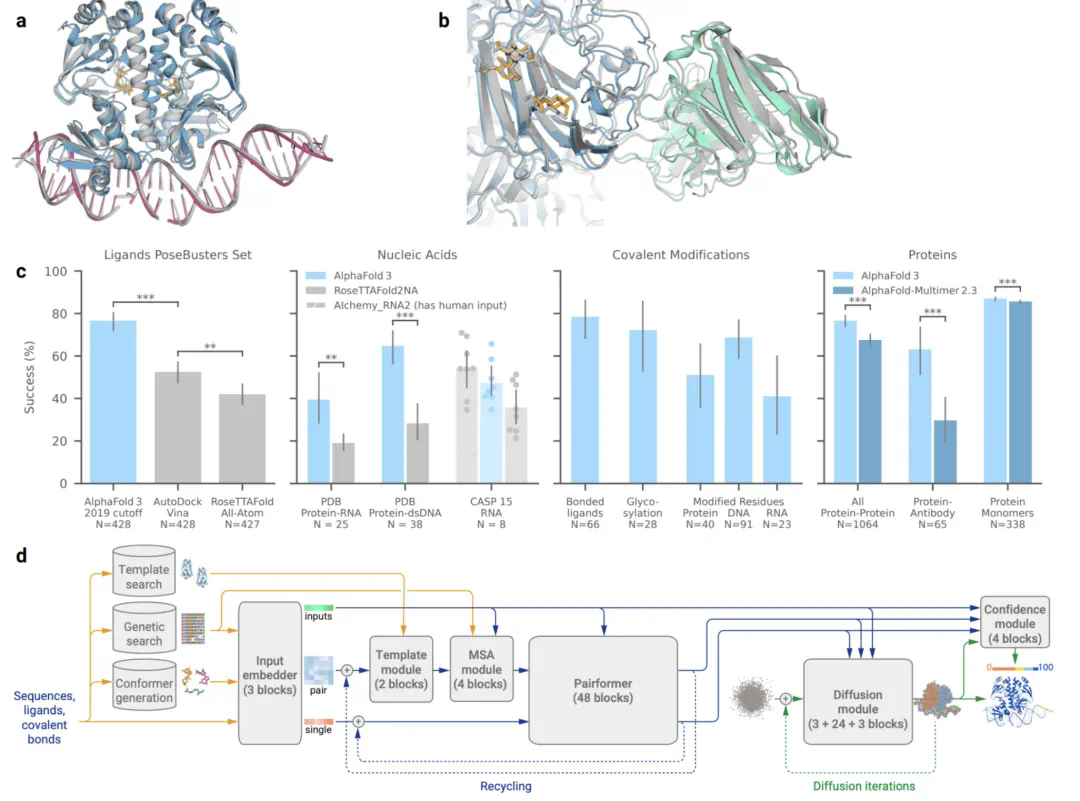 AlphaFold 3 重磅问世，全面预测蛋白质与所有生命分子相互作用及结构，准确性远超以往水平 - 知乎