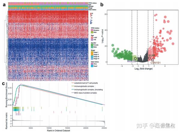 SCI热点| 明星分子P53的研究进展和科研思路 - 知乎