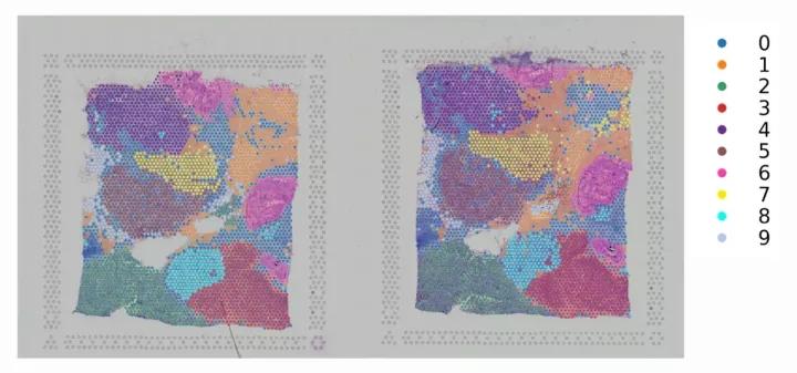 10X空间转录组分析之stlearn联合harmony整合多个空间样本 - 知乎