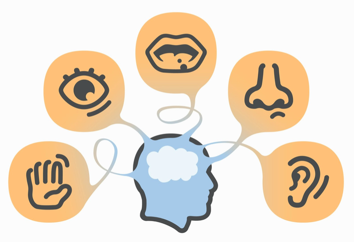 多模态论文综述（持续更新） - 知乎