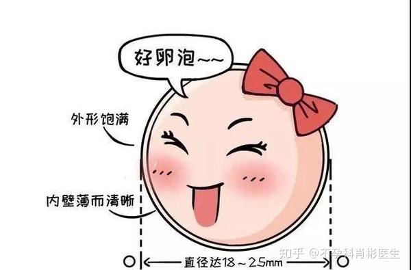 只需一招,就能帮你把卵泡养的又大又好! 知乎
