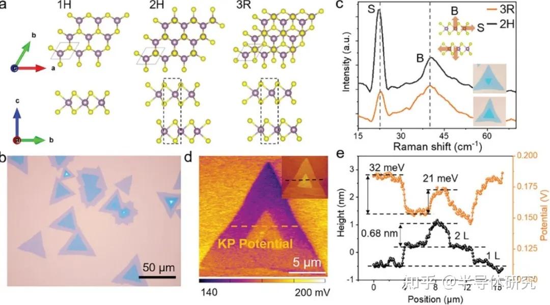 Advanced Materials |具有室温铁电性的双层 3R MoS2 的气相沉积 - 知乎