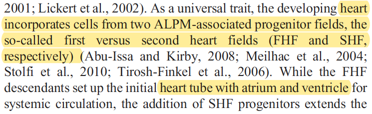 脊椎动物中胚层分化-侧板中胚层 - 知乎
