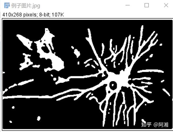 ImageJ分析细胞形态 - 知乎