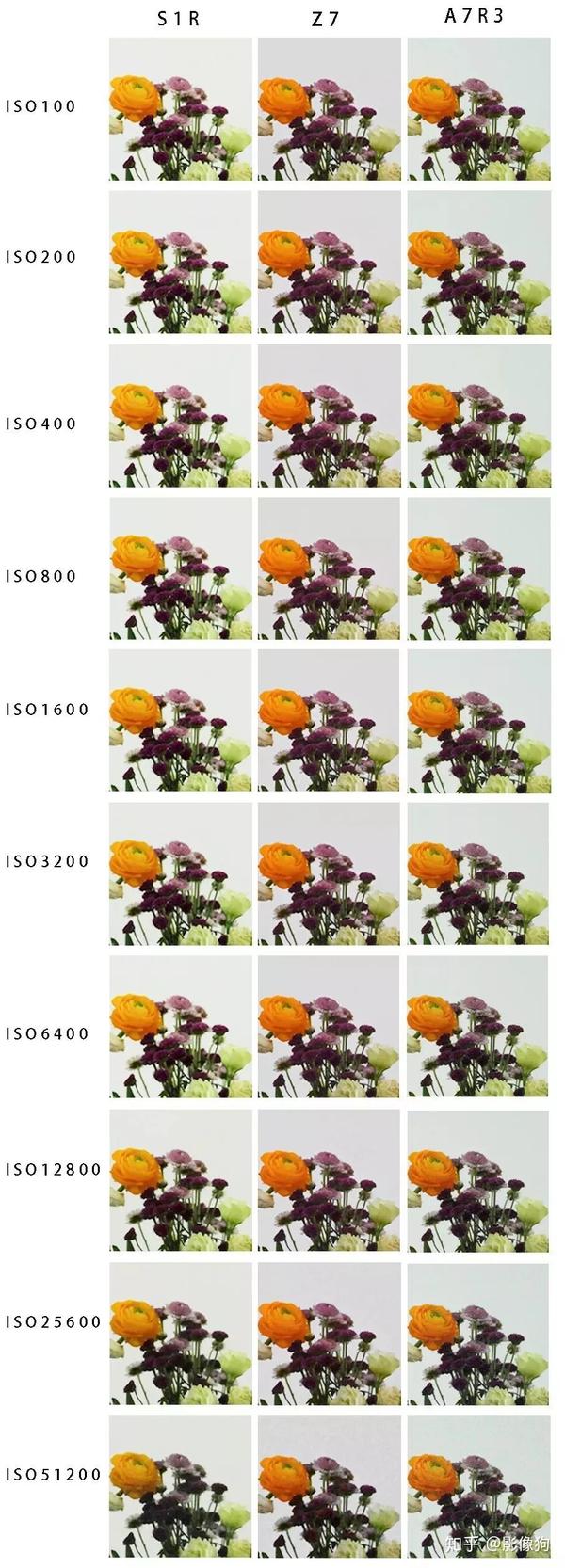 横评 | 松下S1R 尼康Z7 索尼A7R3 - 知乎