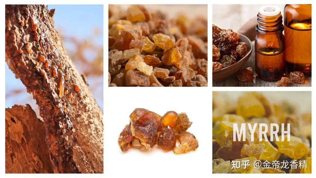 调香笔记(8)——50种常见的香水成分:气味和起源 - 知乎