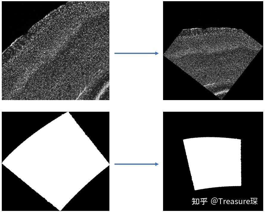 ImageJ实用教程——倾斜区域提取(基础功能篇) - 知乎