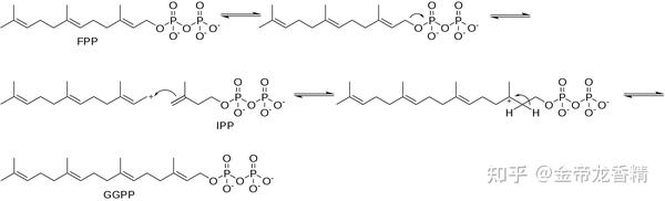 香精与香料(53)—突厥烯酮(Damascenone)与突厥酮(Damascone) - 知乎