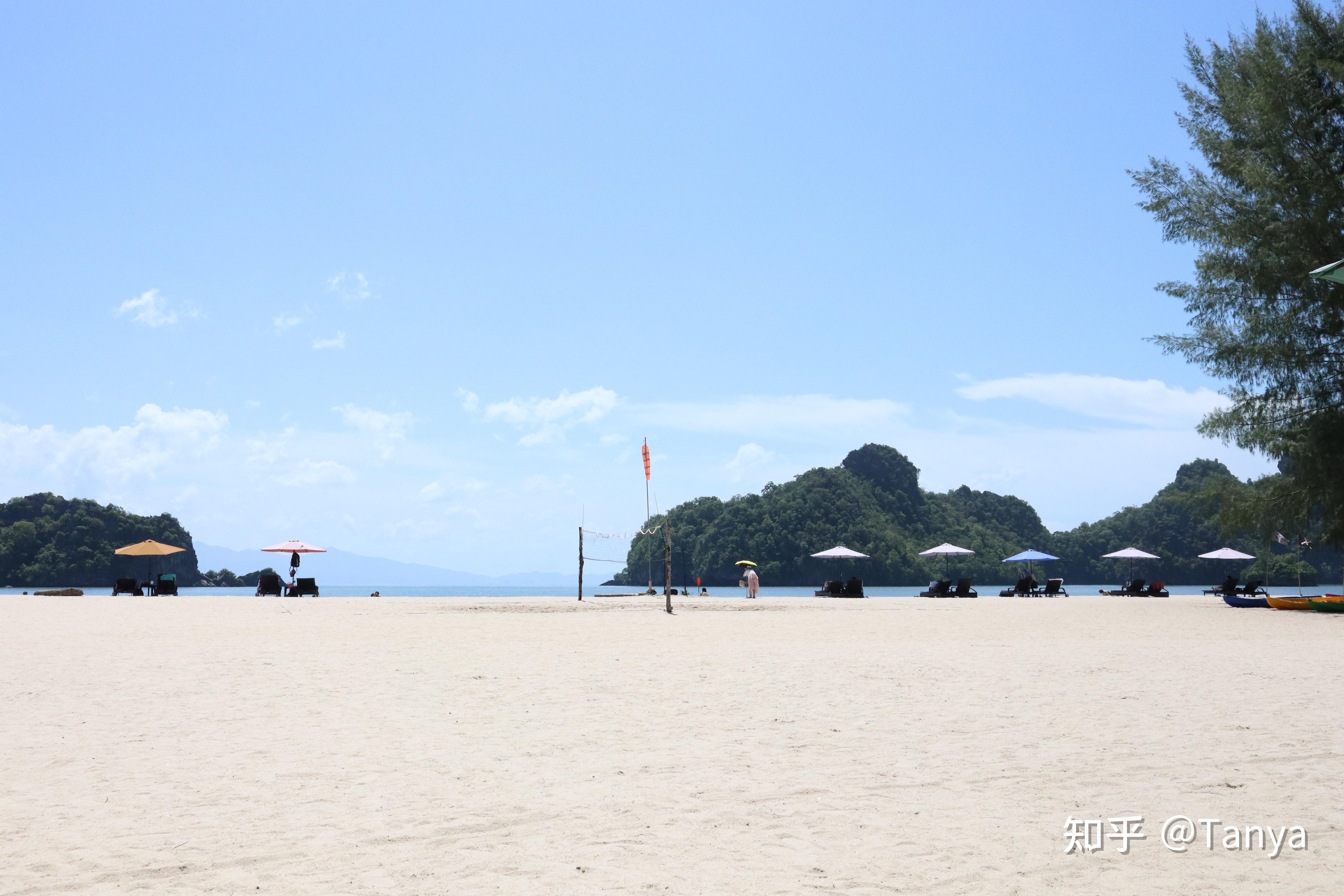 马来西亚兰卡威红树林｜来一场生态探险之旅吧🚣‍♀️ - 知乎