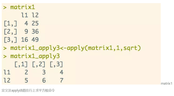 R点石成金三人组：apply,lapply,sapply - 知乎
