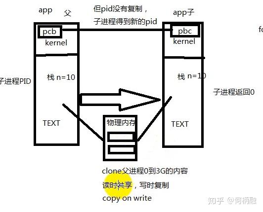 linux 进程 fork() - 知乎