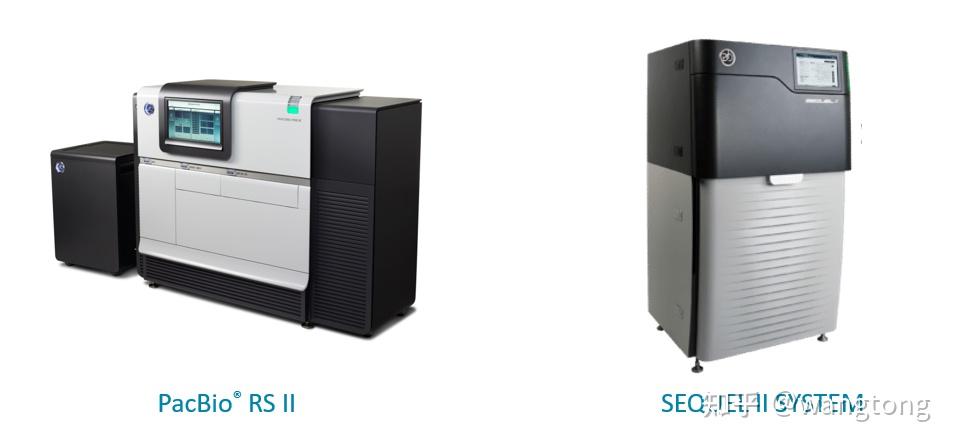 pacbio这次真支棱起来了 - 知乎
