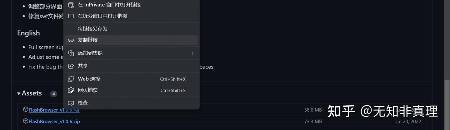 Github上开源无广的Flash Broswer，畅玩多数网页怀旧Flash小游戏~ - 知乎