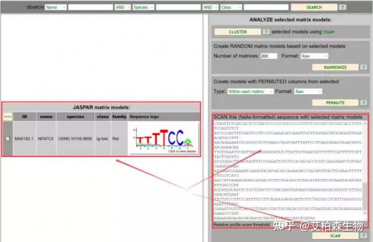 怎么查找基因的启动子、UTR、TSS等区域以及预测转录因子结合位点 | 环状RNA社区 - 知乎