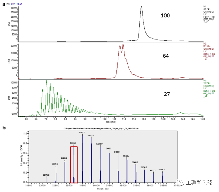 【耀文解读】mRNA polyA尾分布检测：酶切处理与LC-MS分析 - 知乎