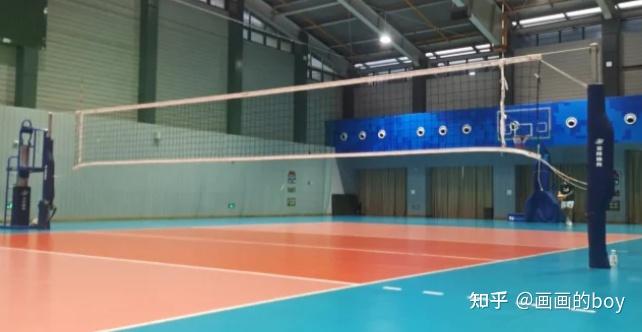 【2026年618】排球鞋推荐：排球鞋怎么选？羽毛球鞋可以替代排球鞋吗？选购指南+常见问题+排球鞋精选推荐（新手&进阶）