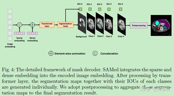 Customized Segment Anything Model for Medical Image Segmentation(SAMed ...
