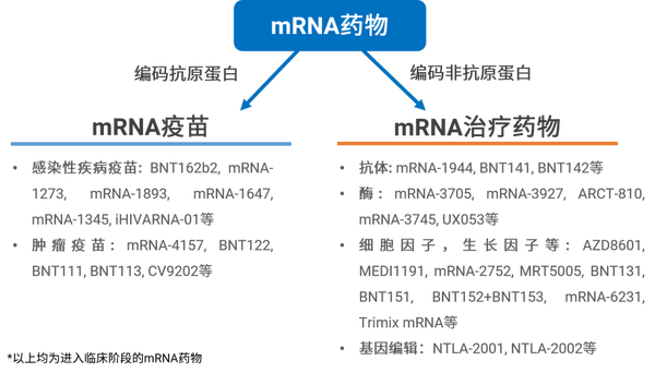 mRNA药物临床前药代动力学评估策略 - 知乎