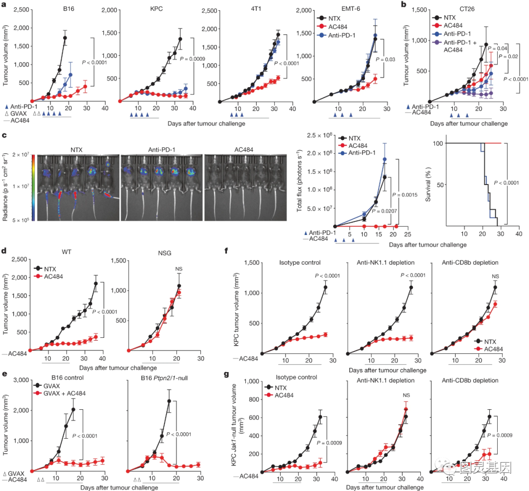 Nature ｜ 攻克“不可成药”靶点，PTPN2/PTPN1抑制剂口服药增强免疫治疗效果 - 知乎