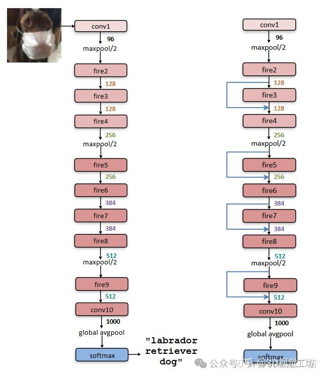 全网最细的SqueezeNet模型讲解(附pytorch详细代码及注释) - 知乎