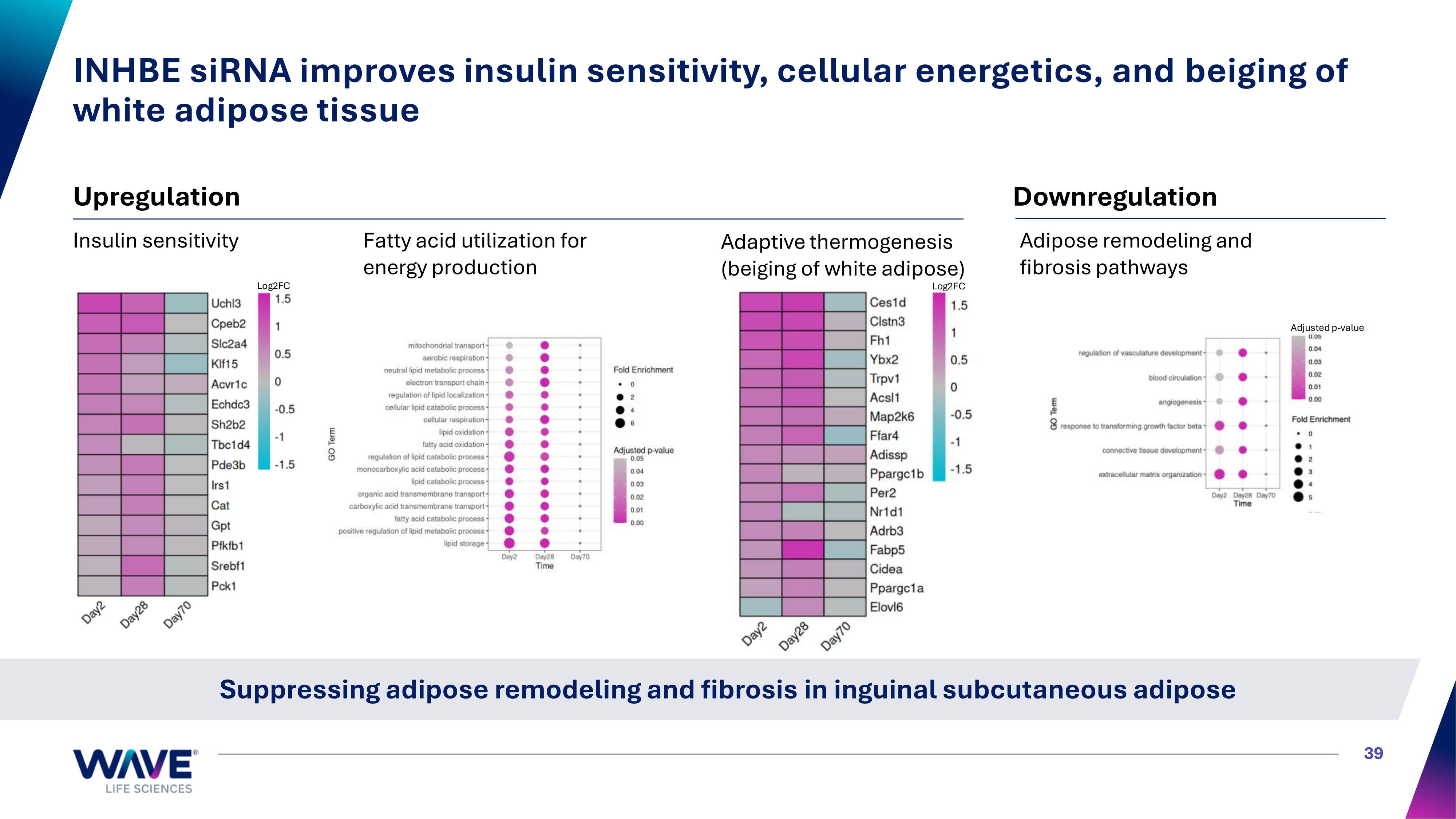 打破 INHBE siRNA 研发静默，WAVE 首次公开临床研究数据 - 知乎