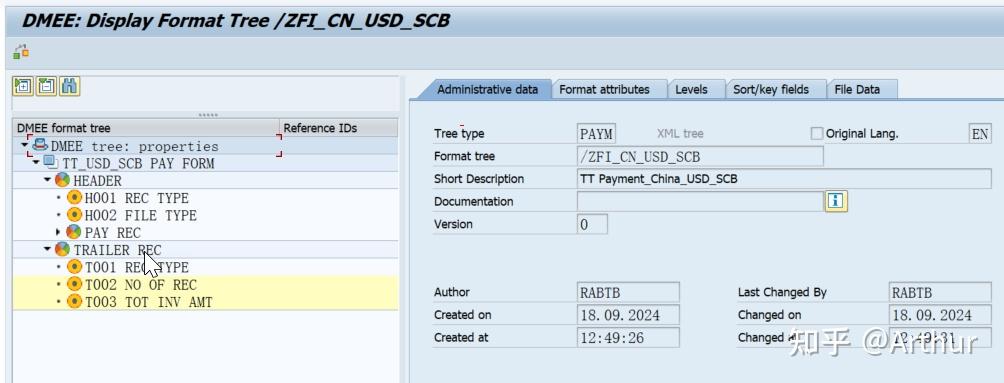 SAP 项目-S/4 银企直连+SAP 自动付款实施 - 知乎