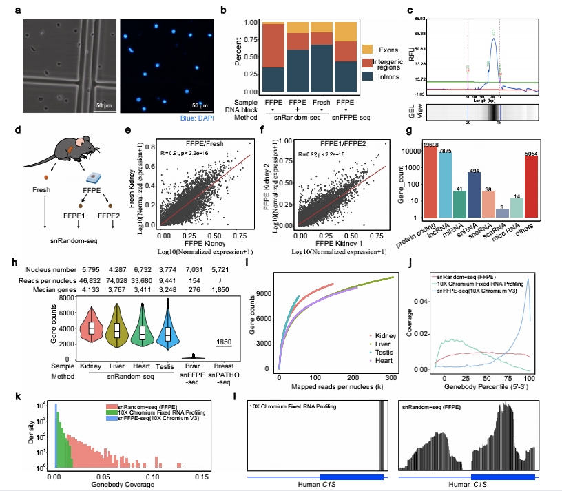 登陆Nature Communications-M20 Seq技术实现FFPE样本高性能检测 - 知乎