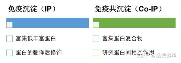 合理吗？原理和流程都懂，Co-IP还是没做出来！ - 知乎