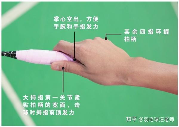 羽毛球基础篇1【握拍】 知乎