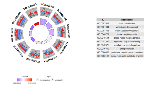 GOplot | 更美观的富集分析可视化 - 知乎