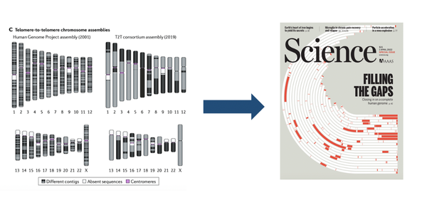 最新最全！10个物种的15篇T2T基因组文章汇总！ - 知乎