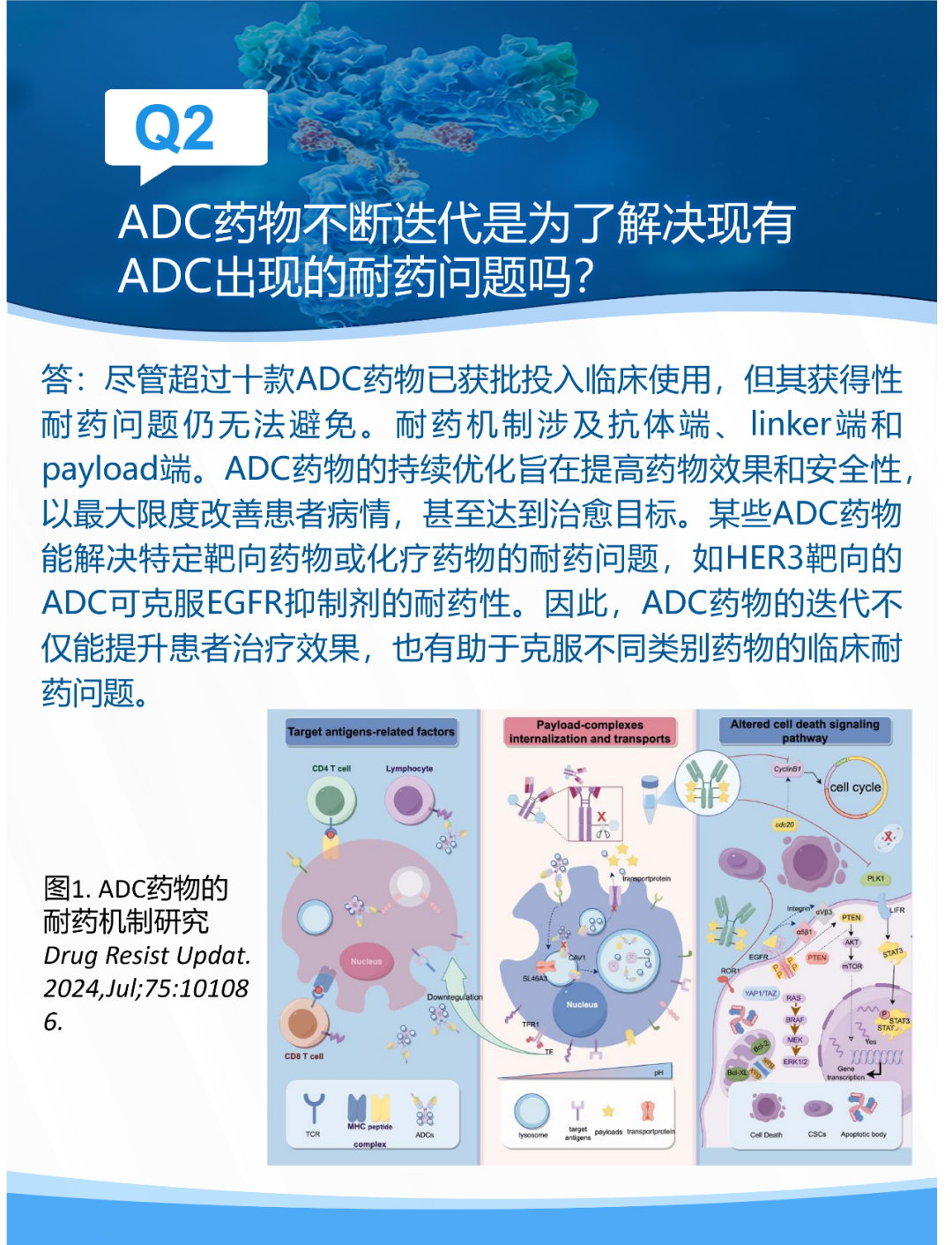 XDC系列 | 你问我答：抗体偶联药物ADC - 知乎