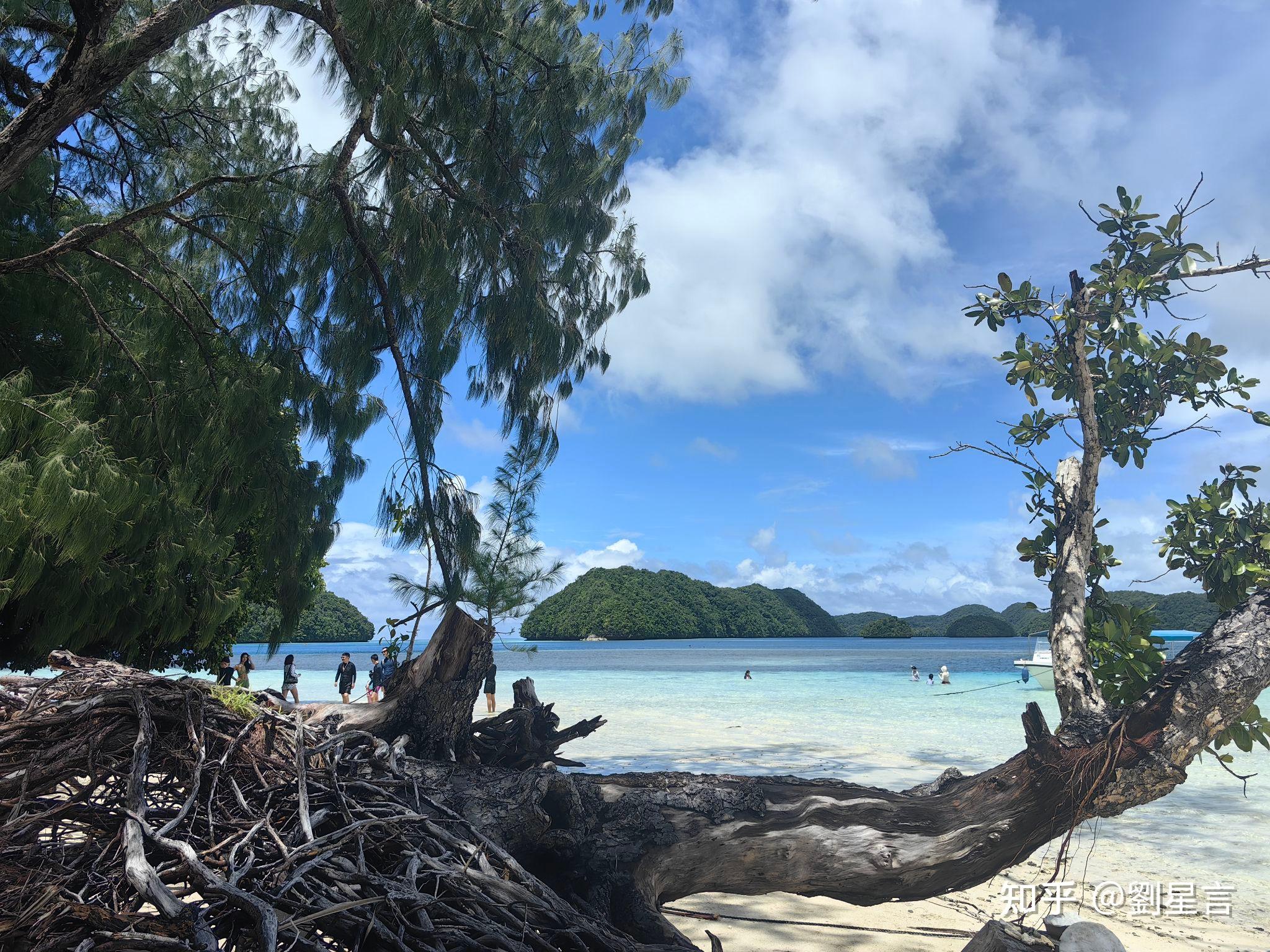 帕劳 Palau ---Terri的超详细旅行攻略 - 知乎