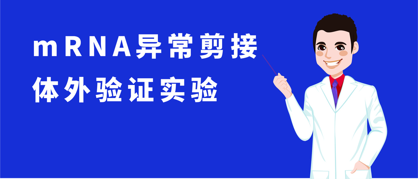 mRNA异常剪接体外验证实验—Minigene splicing assay - 知乎