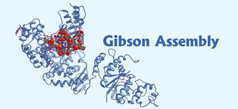十年超长（>40kb）重组DNA技术经验，尽在此篇！ - 知乎