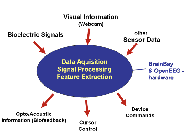 『脑机接口BCI资源合集』软件篇 —— 为你匹配最适合的BCI分析软件 - 知乎