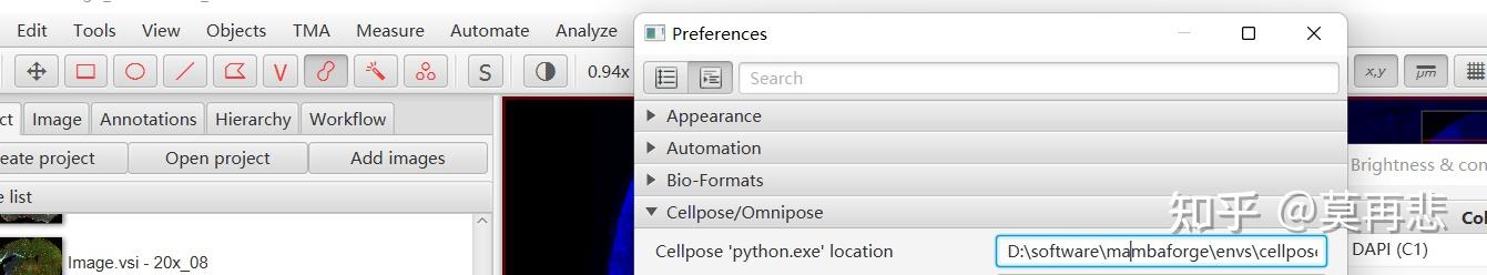从零开始描述不规则细胞——基于cellpose（2.0）与stardist（qupath）的自动细胞分割及计算教程 - 知乎