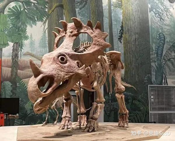 博物馆Vol.104 | 山东博物馆 - 知乎