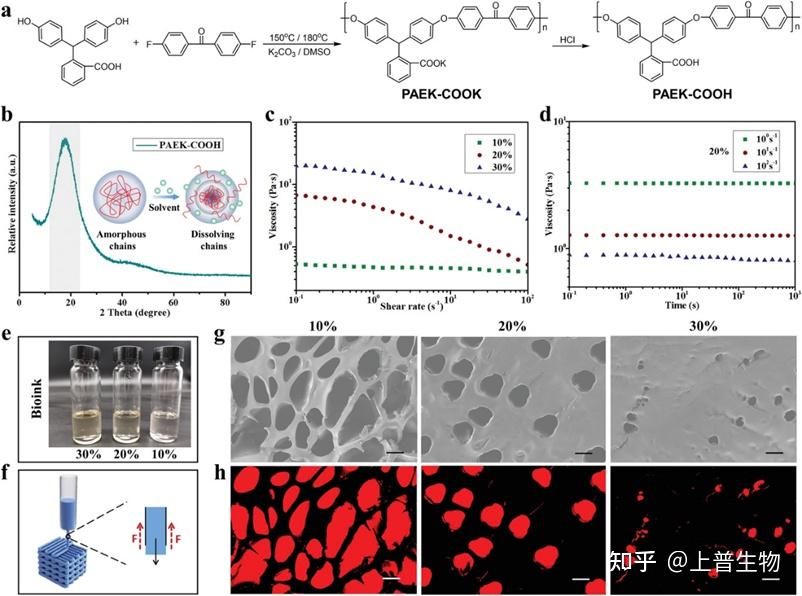 大连化物所周光远教授团队利用SUNP BP11低温沉积3D打印含多级孔隙结构且可促进生物矿化的聚芳醚酮骨组织工程支架 - 知乎