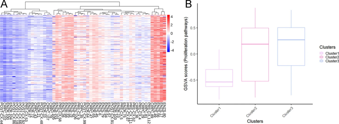GPDRP：基于图 Transformer 和基因通路的药物反应预测多模态框架 - 知乎