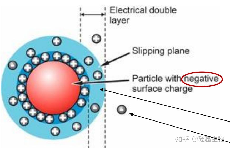 Zeta potential and Debye length zeta电位与德拜长度 - 知乎
